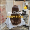상봉역 미용실 애쉬매트염색 수연디자이너 비니가헤어 네이버 블로그